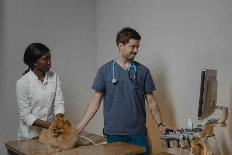Do Dogs Lower Blood Pressure